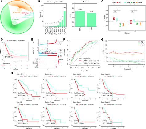 Building And Validating The Mfi Model A We Identified Genes With Download Scientific Diagram