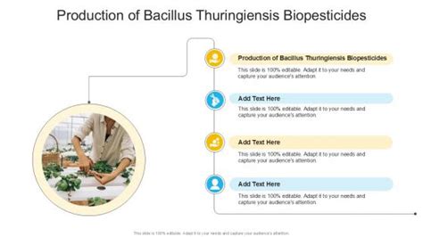 Production Of Bacillus Thuringiensis Biopesticides Powerpoint