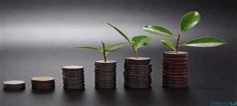 Zakat Calculation In Saudi Arabia 1444 Ah Cfoonline مكتب مالي معتمد