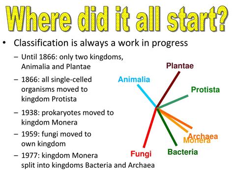 Ppt Classification History Powerpoint Presentation Free Download