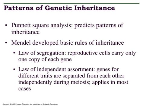 Chapter 19 Genetics And Inheritance Ppt Download