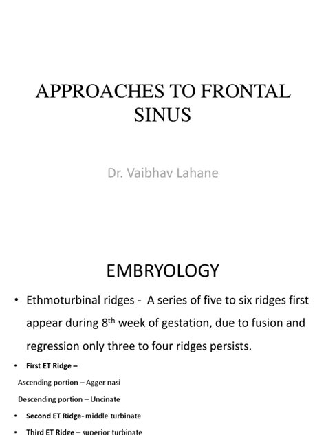 Approaches To Frontal Sinus Pdf Human Nose Surgery