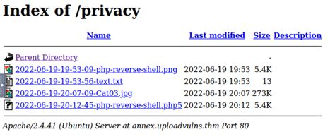 Tryhackme Upload Vulnerabilities Walkthrough