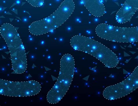 The Complete Guide To Metatranscriptome Sequencing Novogene