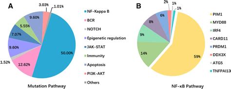 A Mutation Pathway Distribution Among Pcnsl Specimens Different