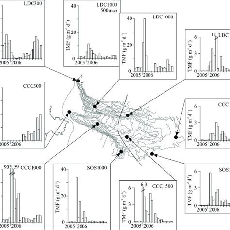 Time Series Of Total Mass Fluxes G M −2 D −1 Along Transects Download Scientific Diagram