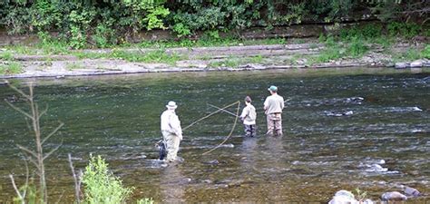 Pennsylvania Trout Streams Protect Them Faithfully Outdoor News