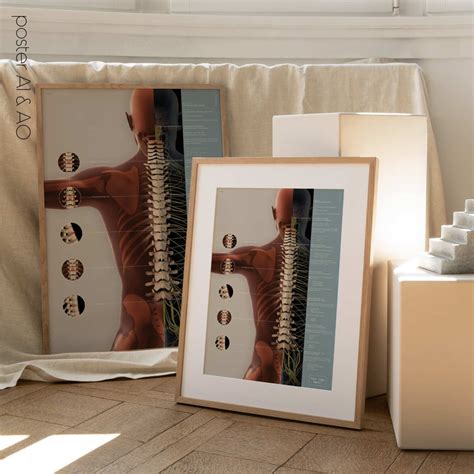 Vertebral Subluxation Complex Educaredesign