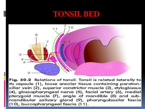 Ppt D R N Ayana V G Powerpoint Presentation Free Download Id844172