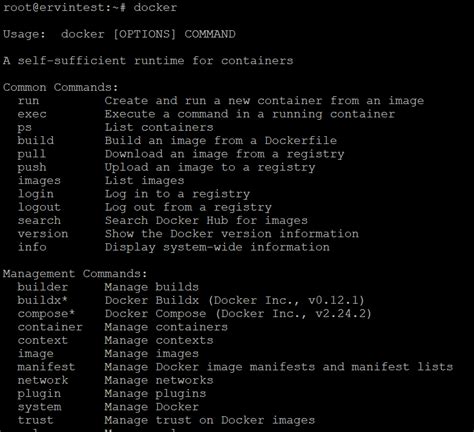 How To Install And Use Docker On Ubuntu Veeble Hosting