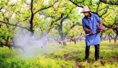 Fungicides Products Manufacturer And Distributor Heben