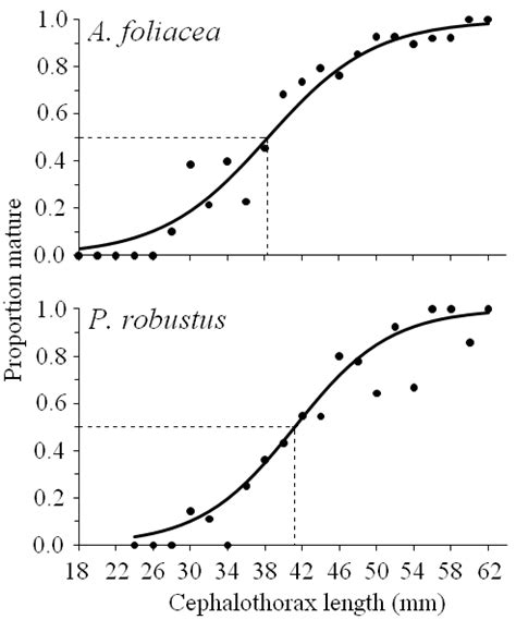 Size At 50 Sexual Maturity For Females For Both Species Download Scientific Diagram