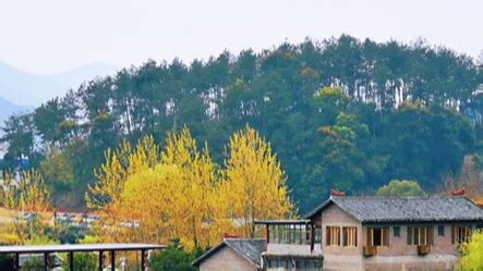 旅途的痕迹 博客园