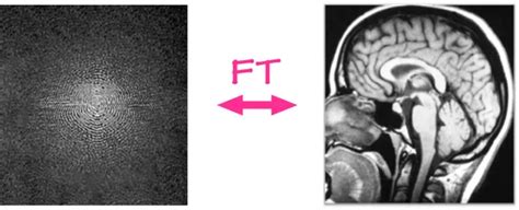 Get Enum Description Using Property In C Net Core By Arian Rahman