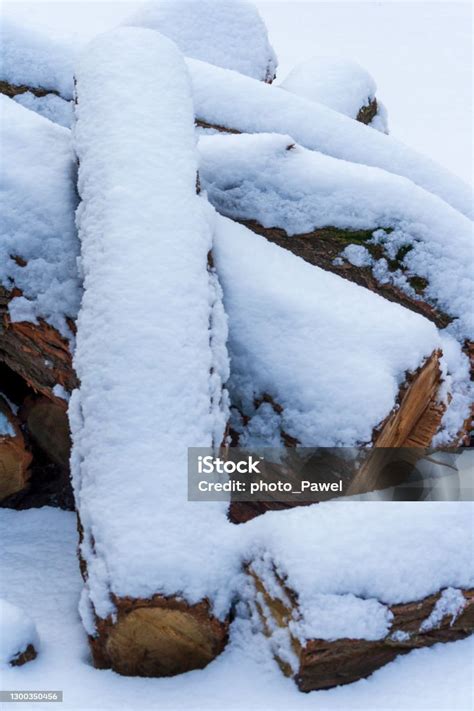 야외에서 눈으로 덮인 장작 더미 나무 컷의 스택 목재 스택에 눈 백설 공주 아래 나무 로그 스토어 0명에 대한 스톡 사진 및 기타 이미지 Istock