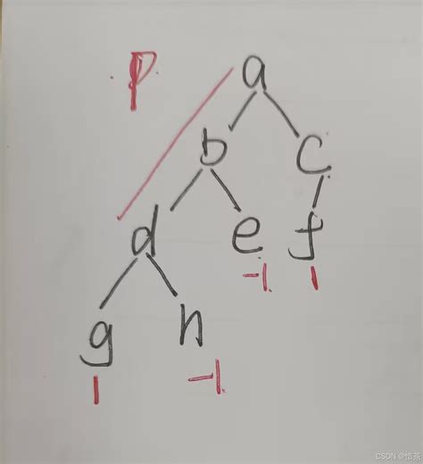 二叉树——输出叶子到根节点的路径 csdn博客