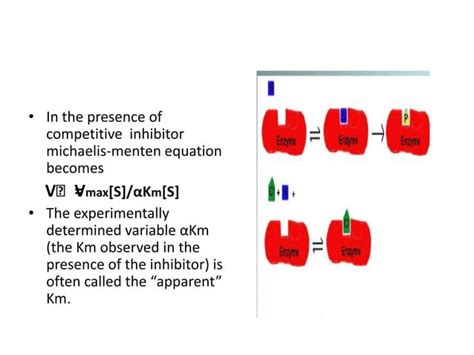 Enzyme Kinetics Pptx Enzyme Kinetics Pptx