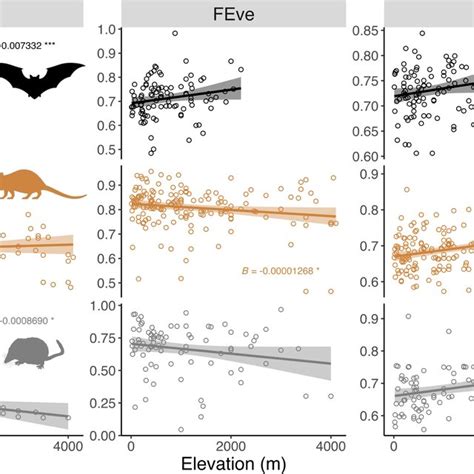Functional Diversity Metrics For Bats Top Row Rodents Middle And Download Scientific