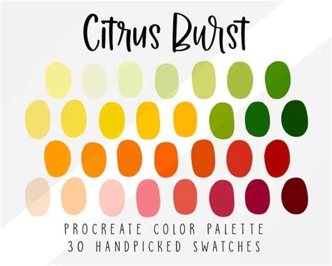 Citrus Procreate Color Palette Color Swatches Ipad Procreate Etsy Brand Color Palette Warm