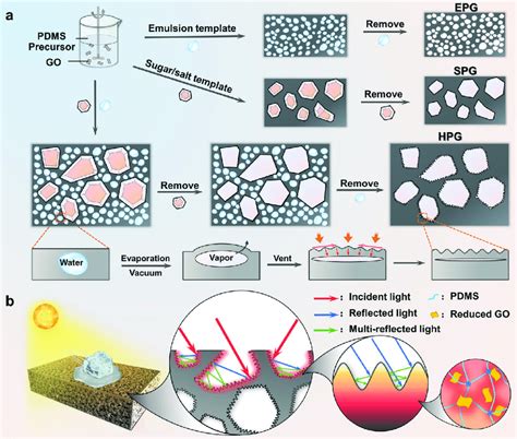 A Fabrication Of The Porous Emulsion Templated Pdms Rgo Epg Download Scientific Diagram