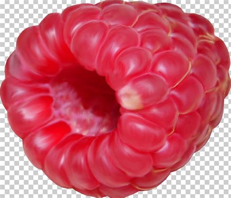 Frutti Di Bosco Raspberry Pi Fruit Png Clipart Berry Blackberry Frutti Di Bosco Raspberry Pi Fruit Png Clipart Berry Blackberry