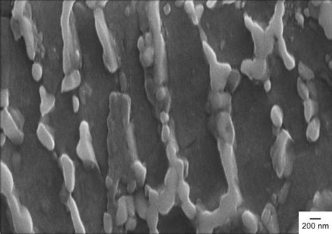 Etched Stellite 6 Coating Cross Sectional Image Close Up Within A
