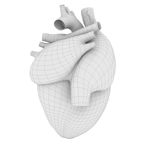 심장 낮은 폴리 게임 준비 3d 모델 50 Blend Fbx Obj Ma Free3d