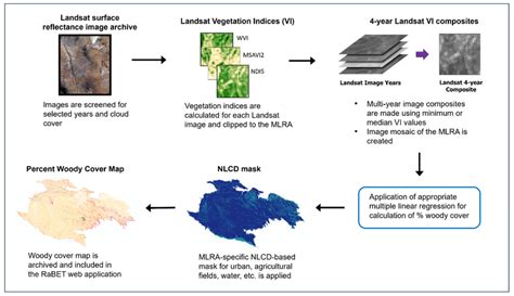 Workflow For Generation Of Rabet Woody Canopy Cover Maps Download Scientific Diagram