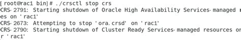 oracle 19c crsctl相关命令（一） csdn博客