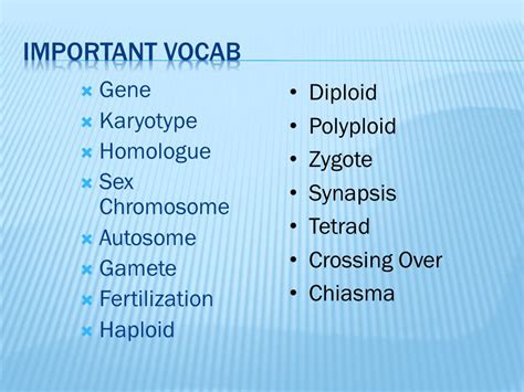 The Cell Cycle Chapter 12 P 228 P Ppt Download