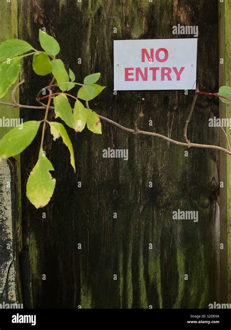 No Entry And Branch Stock Photo Alamy