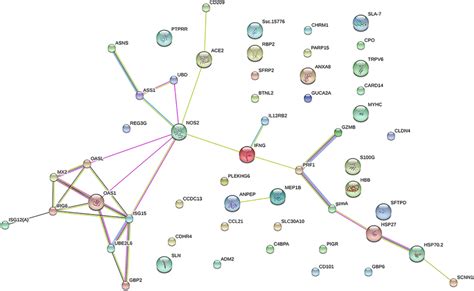 String Analysis Shows That Degs Are Involved In Known And Predicted