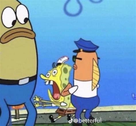Spongebob Freeze Frames R Spongebob