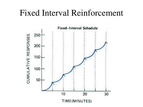 Which Laboratory Example Reflects A Fixed Ratio Schedule Of Reinforcement At Jennifer Buffum Blog