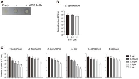 Bactericidal Effect Of Cecropin A Fused Endolysin On Drug Resistant