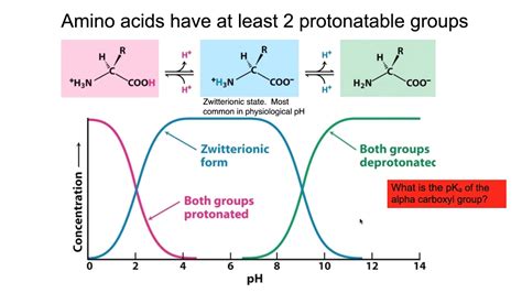 titration graph pka at barbara haslam blog