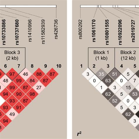 Statistical Shape Model Ssm Modes Associated With Candidate Download Scientific Diagram