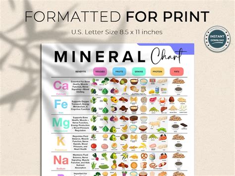 Vitamin And Mineral Charts Bundle Your Ultimate Nutritional Guide