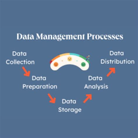 Moving Beyond Spreadsheets In Managing Your Business Workplaze A