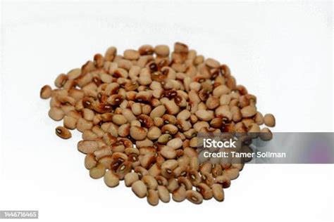 검은 눈 완두콩 콩 곡물 더미 중간 크기의 식용 콩으로 전 세계에서 재배되는 콩과 식물 카우 피의 아종 아프리카에서 길 들여진