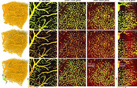 Generalization Capability Of Our Segmentation Method Our Dnn Is