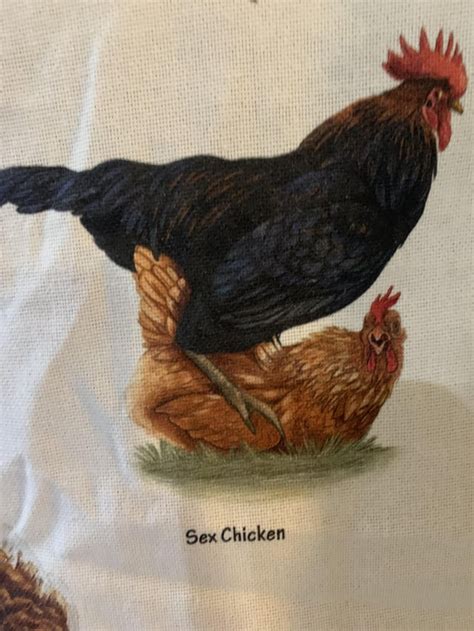 Sex Chicken Rskamtebord