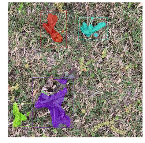 Ai Weed Detector — Immersive Limit