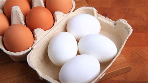 The Truth About Eggs
