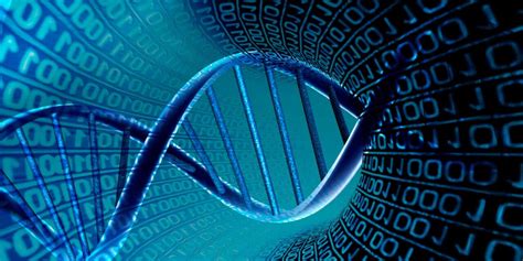 Bioinformatics Unlocking The Secrets Of Gut Health Nium