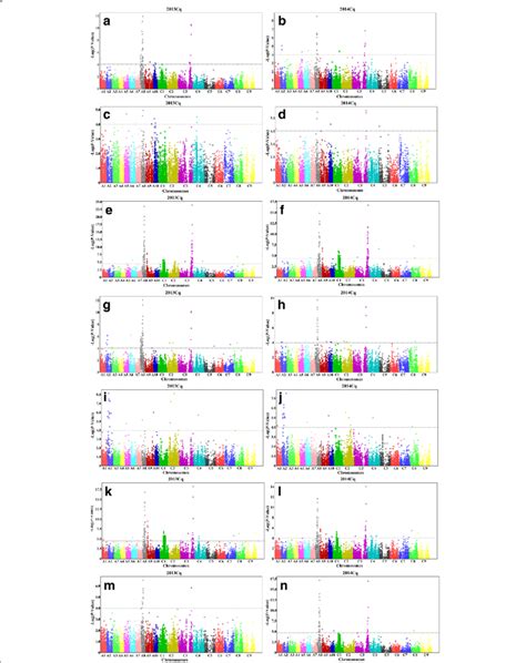 Manhattan Plots Of Marker Trait Association Analysis Using The Pca K