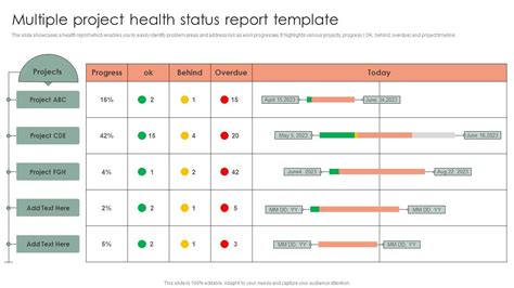 Project Health Check Template