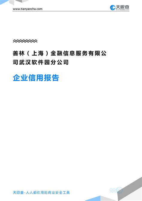 善林上海金融信息服务有限公司武汉软件园分公司企业信用报告 天眼查word文档在线阅读与下载免费文档