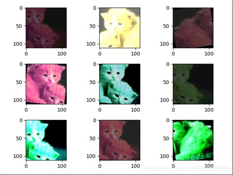 Pytorch：数据增广批量化 Batch Augmentation Pytorch批量数据增强 Csdn博客