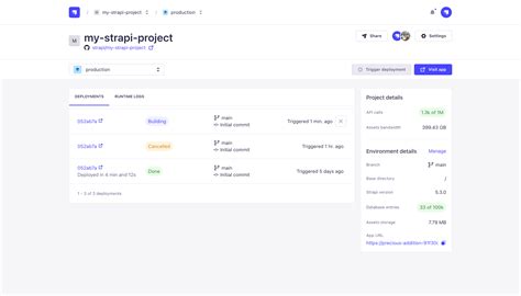 Projects Overview Strapi 中文网